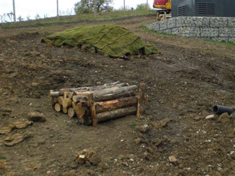 Ecological Mitigation Hibernaculas Reptile Barriers Future View