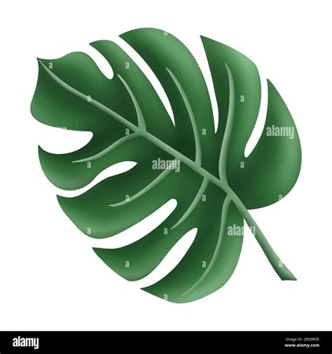 Tropical Leaf Clipart