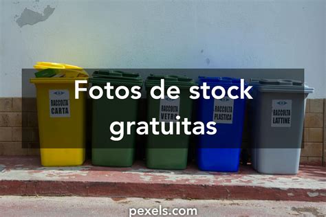 43 Fotos Y Imágenes De Wasste Segregation Gratis · Banco De Fotos Gratis