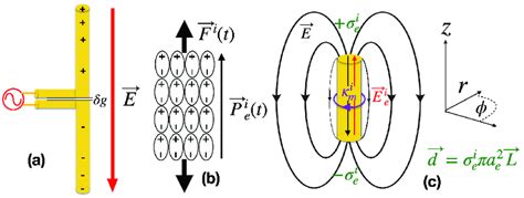 A A Free Charge Active Hertzian Dipole Antenna B An Active Dipole Download Scientific
