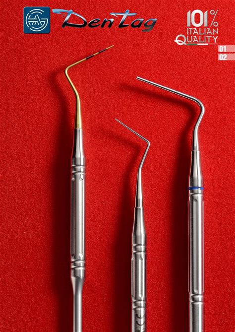 Root Canal Instruments Names At Richard Day Blog