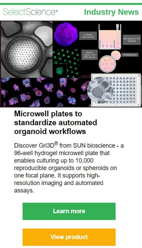 Customers Collaborators Feature Live Sunny Gri3d Review