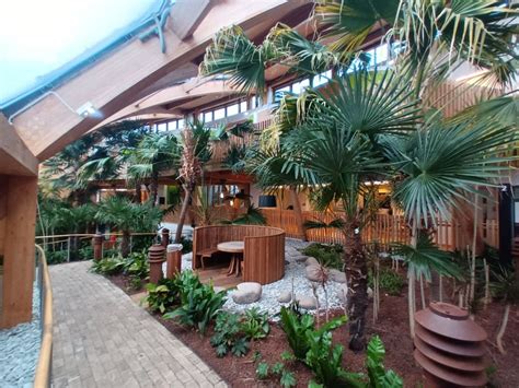 Sustainability Decarbonisation Contractadministration Cdm Daniel