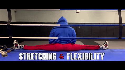 Alex Lee Stretching Training System Motivation Youtube