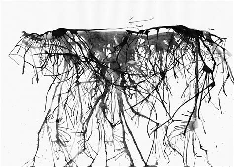 Fuki Drawing Behance