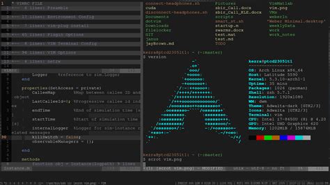 st dwm vim in arch btw r vimporn