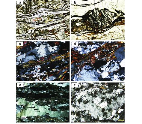 Deformation Microstructures In The Highly Sheared Rocks In The Dcs Als