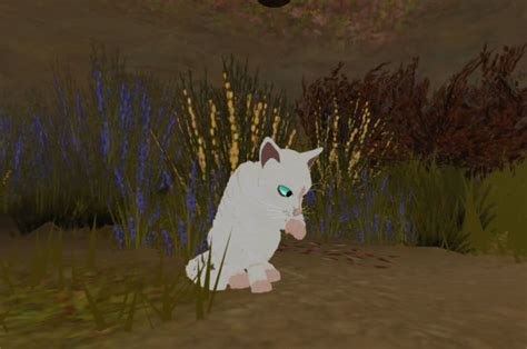 White Cream And Pink Wcue Morph Pink Free Feelings