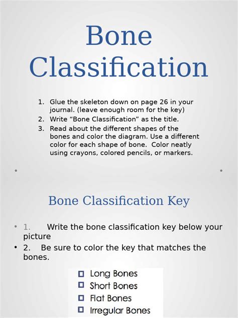 Bone Classification Pdf