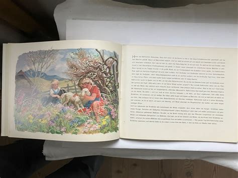 Die Geschichte Von Der Wiese Bilderbuch Von Marianne Scheel Gebraucht