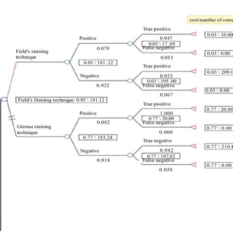 Decision Tree For Cost Effectiveness Analysis Download Scientific Diagram