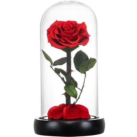 Rose Eternelle Artificielle Le Jardin Artificiel