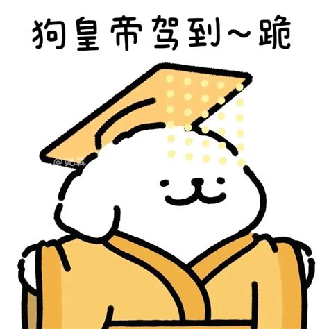 戴着学士帽的卡通小狗，配文 狗皇帝驾到~跪”超有趣 头像 线条小狗情侣头像表情包图片动图 求表情网斗图从此不求人