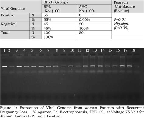 Percentage Of Viral Genome Extraction Of Women Patients With Rpl And Download Scientific