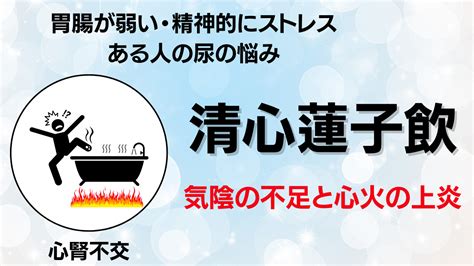 きちんと体質（気陰両虚＋心火）を診ないと効果薄い漢方薬：清心蓮子飲｜玄武の薬箱