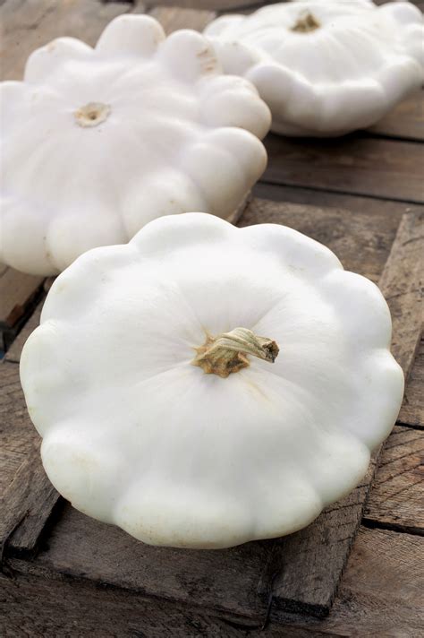 Patisson Etter Ried Gemüse Und Jungpflanzen