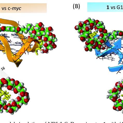 Binding Parameter Of 1 3 Conjugator For G Quadruplex Dna Structure By