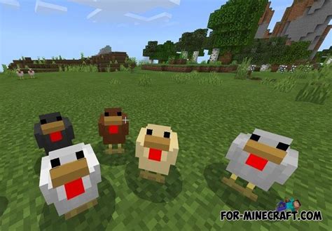 More Chickens Addon For Minecraft Pe 112x