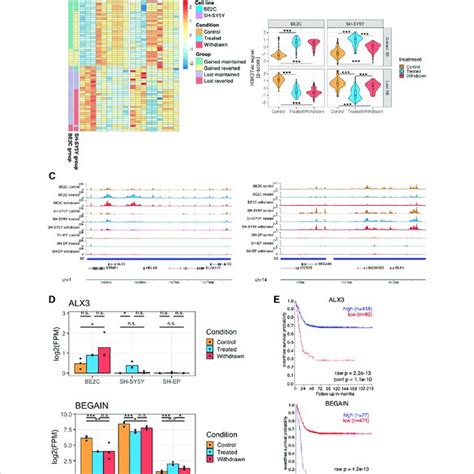 Identification Of Super Enhancers Differentially Expressed In Download Scientific Diagram