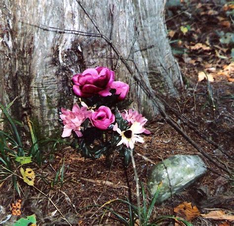 Jane Abigail Watters Weaver 1814 1865 Find A Grave Memorial