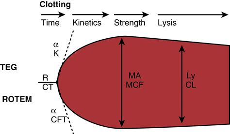 Hemorrhage And Coagulation Clinical Tree