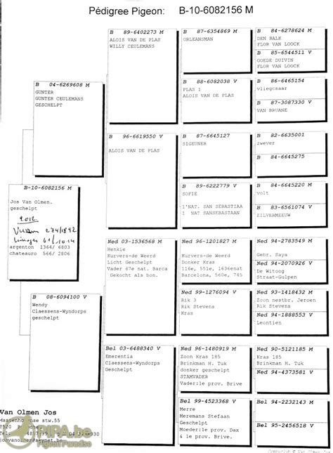 Jos Van Olmen Broechem Be Deserved Winner Of 1st Nat Montauban And 1st Prov Pau Within 24