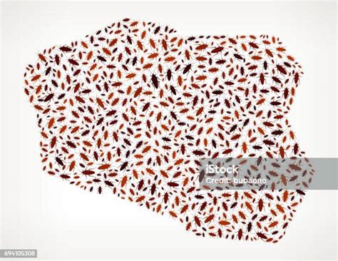 Poland Cockroach Pest Control Vector Icons Background Stock