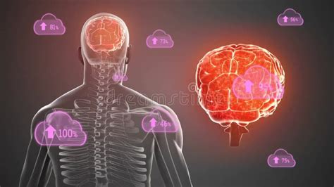 Animation Of Human Brain And Spine With Cloud Icons Showing Data