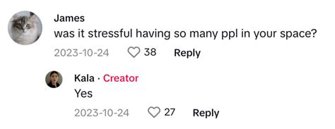 Kala Tunnel Girl Pranavi Kalavathamma Lorei Jacob Thomas Lorei Engineereverything