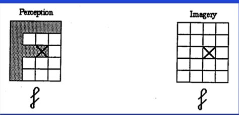 Lecture 7 Visual Imagery Flashcards Quizlet