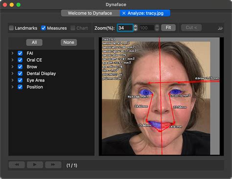 Dynaface 021 On Pypi Security And Maintenance Data For