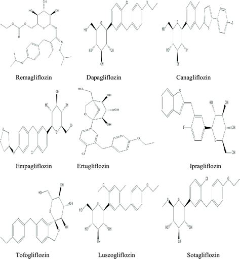 Chemical Structures Of Different Phlorizin Derived Synthetic Sglt 2