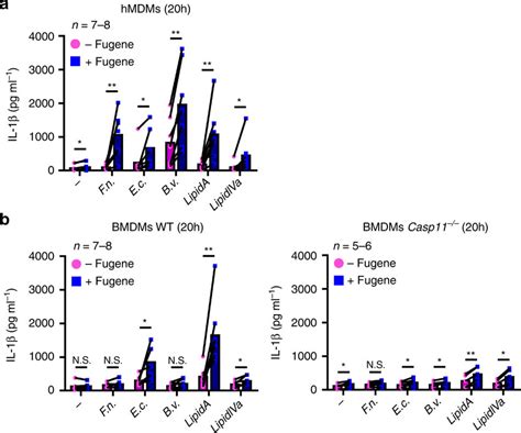 Macrophages Respond To Various Under Acylated Lps And To Synthetic