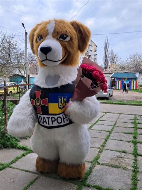 Патріотичний Пес Патрон Привітання зі святом від Пса Патрона