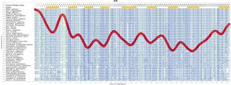 Il18 Gene Genecards Il18 Protein Il18 Antibody