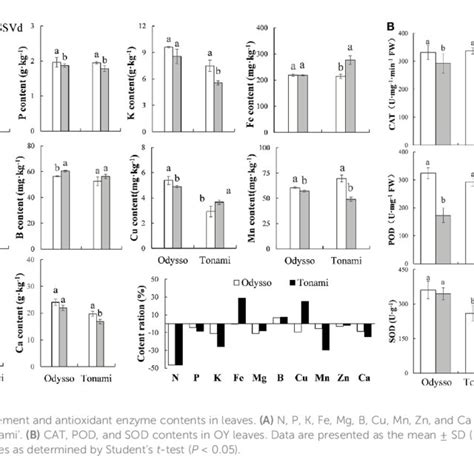 Detection And Quantification Of Assvd In Leaves A Alignment Of The