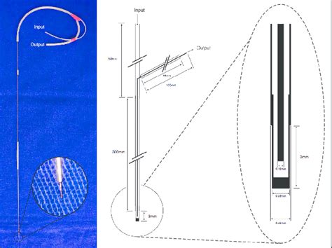 A Actual Photograph Of The Microdialysis Probe That We Are Using