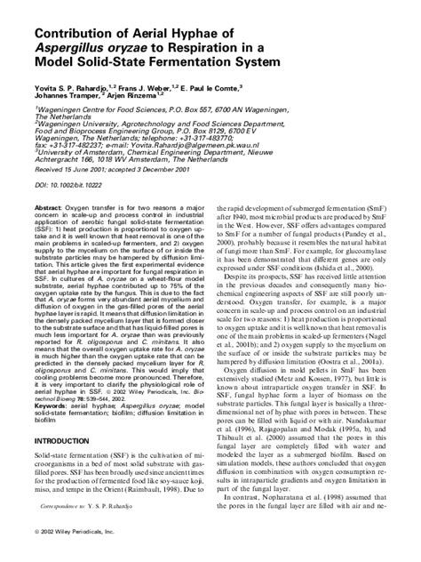 Pdf Contribution Of Aerial Hyphae Of Aspergillus Oryzae To