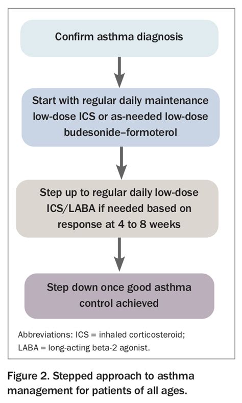 What Is Prophylaxis Of Asthma At Christopher Doyle Blog