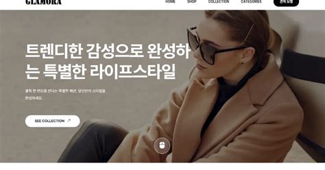 패션 쇼핑몰커머스 비주얼코드 워드프레스 홈페이지블로그 제작 숨고 숨은고수