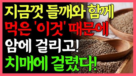 아직도 들깨와 이것을 함께 드시나요 암과 치매에 걸릴 수 있습니다 들깨와 최악 궁합 음식 3가지와 몸의 염증과 독소를 쏙 빼