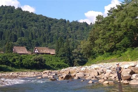 白川村産 飛騨庄川の天然鮎 6尾 18cm以上 300g以上 鮎 天然 あゆ 魚 岐阜県 白川郷 世界遺産 塩焼き Bbq 10000円 1万