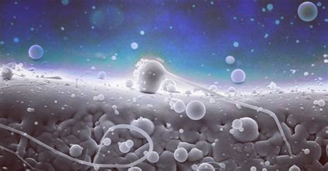 Selenium Not Shown To Cause ‘dramatic Reduction In Certain Cancers