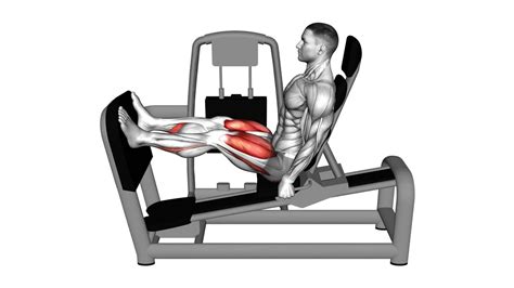 Lever Seated Leg Press Video Guide And Tips