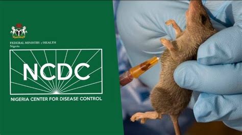 Ncdc Reports 185 Case Fatality Rate In Lassa Fever Outbreak Health