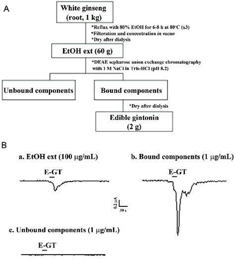 Diagram For An Edible Gintonin E Gt Preparation From Panax Ginseng