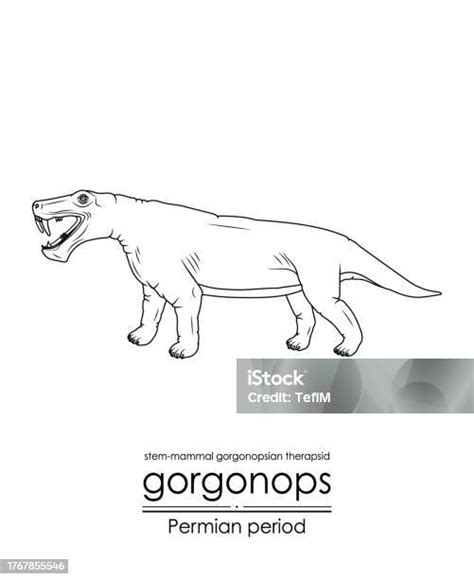 Gorgonops Ein Prähistorisches Stammsäugetier Aus Dem Perm Stock Vektor