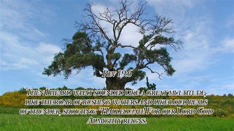 True Identities Of The Tree Of Life And The Tree Of The Knowledge Of Good And Evil SHINCHEONJI