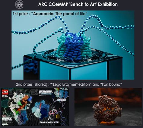 Announcement 🏅we Had Amazing Contributions For Our First Arc Ccemmp