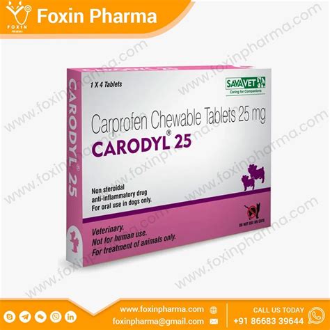 Carodyl Carprofen Tablets Savavet Prescription At Rs 297 In Nagpur